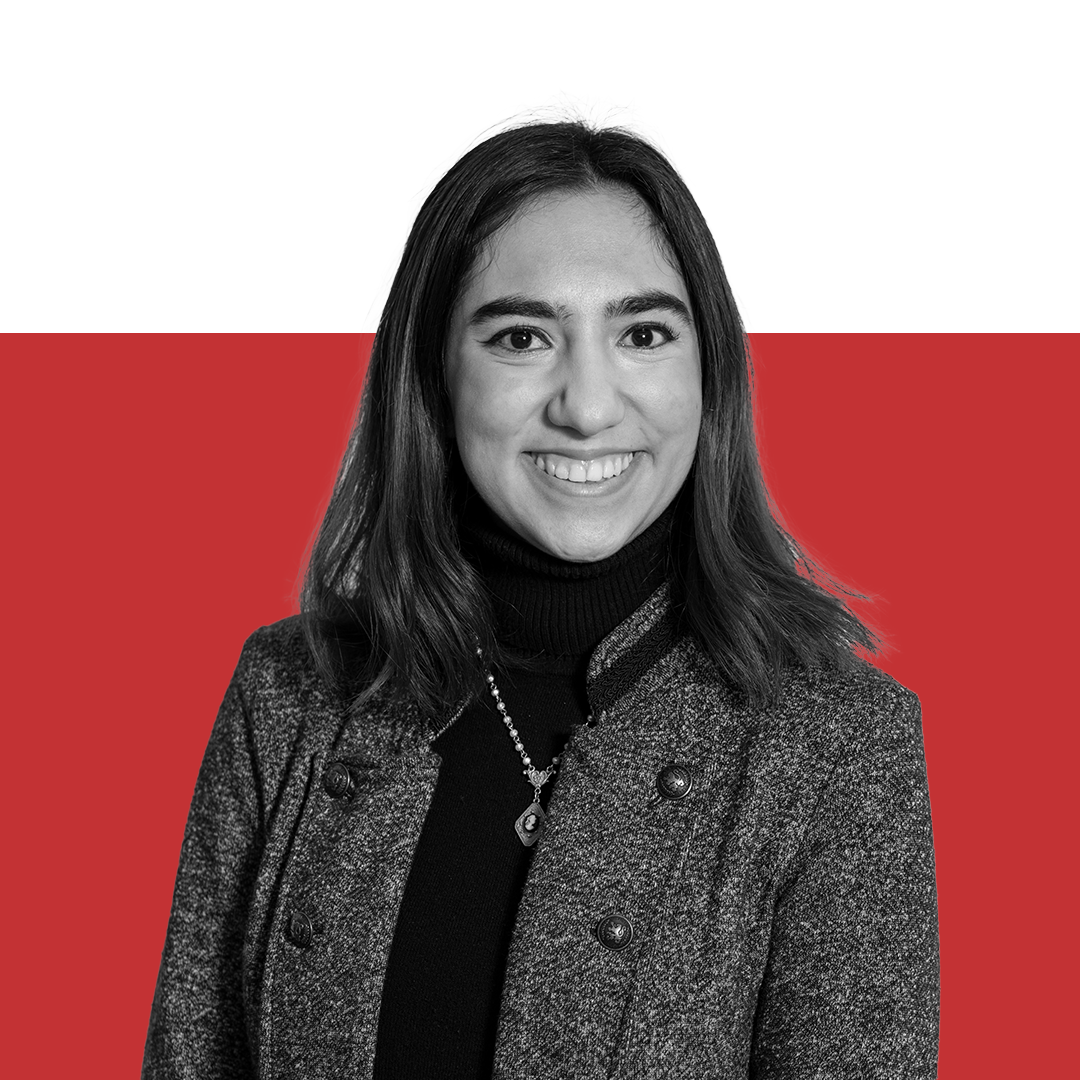 Tahmineh Dehbozorgi — Dissident Project
