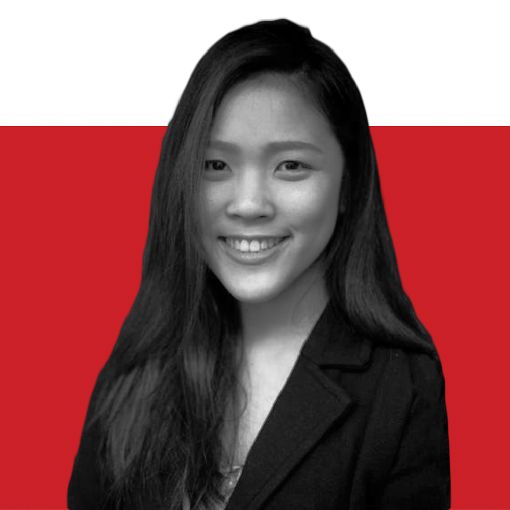 Frances Hui — Dissident Project