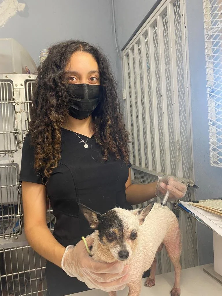 Equipo — Albergue Villa Michelle