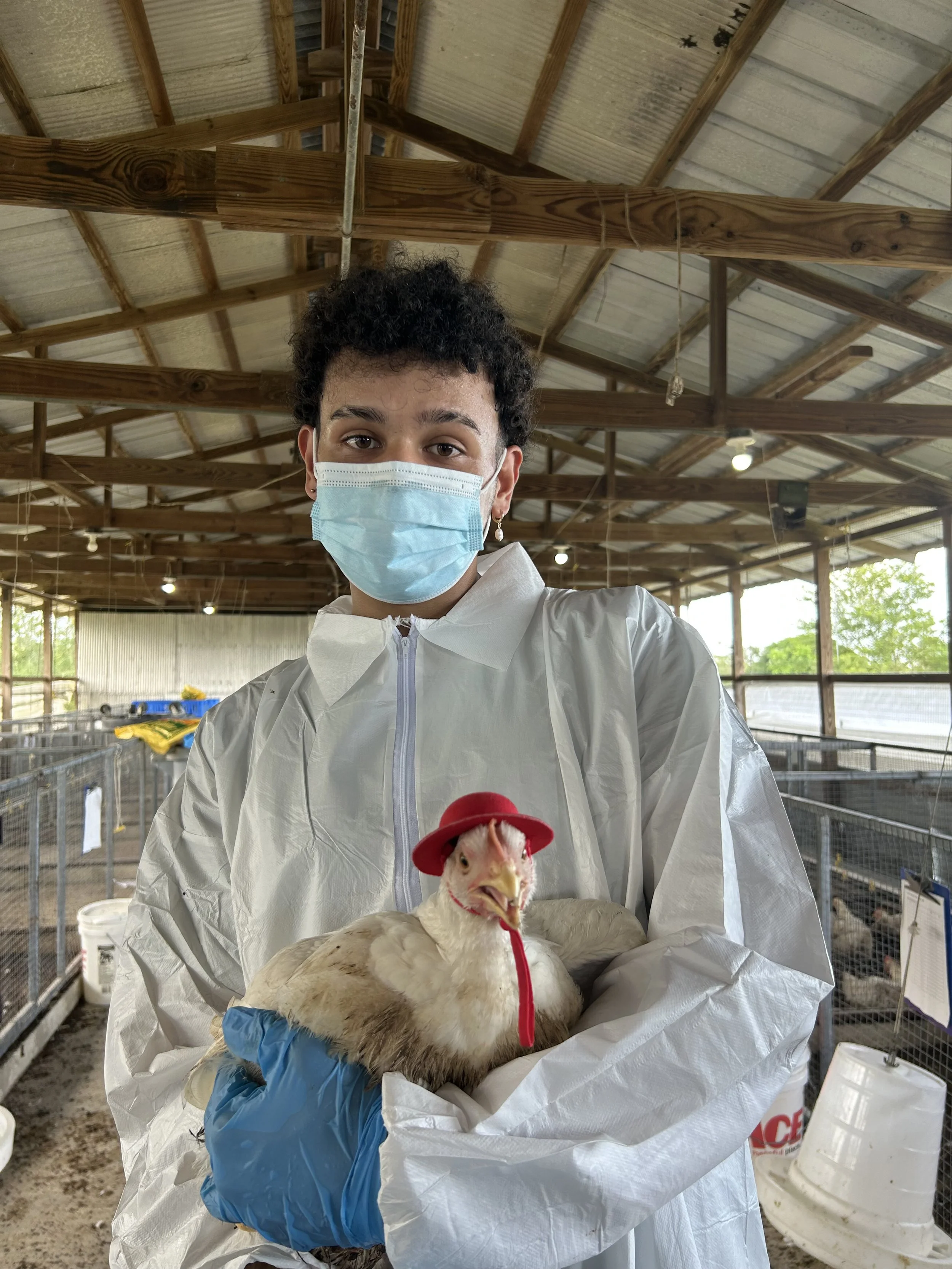 Equipo — Albergue Villa Michelle