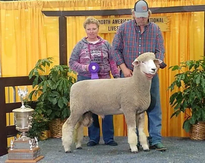 Corriedale Sheep — Friesz Livestock & Friesz Family Farm, LLC