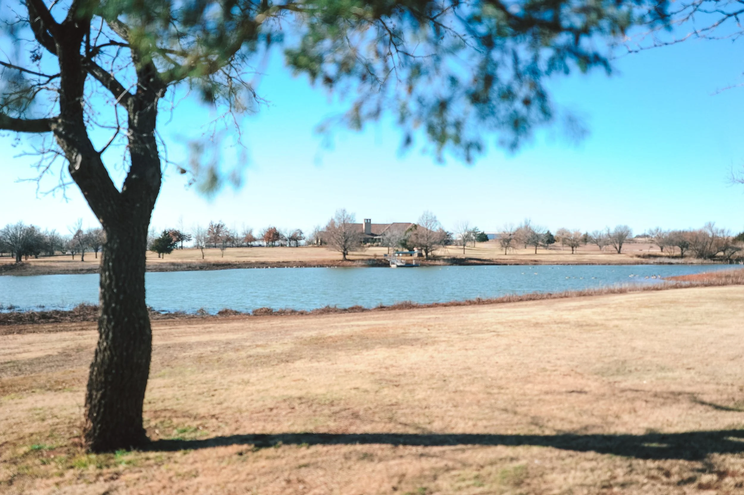 Green Shoe Ranch Gallery — Green Shoe Foundation