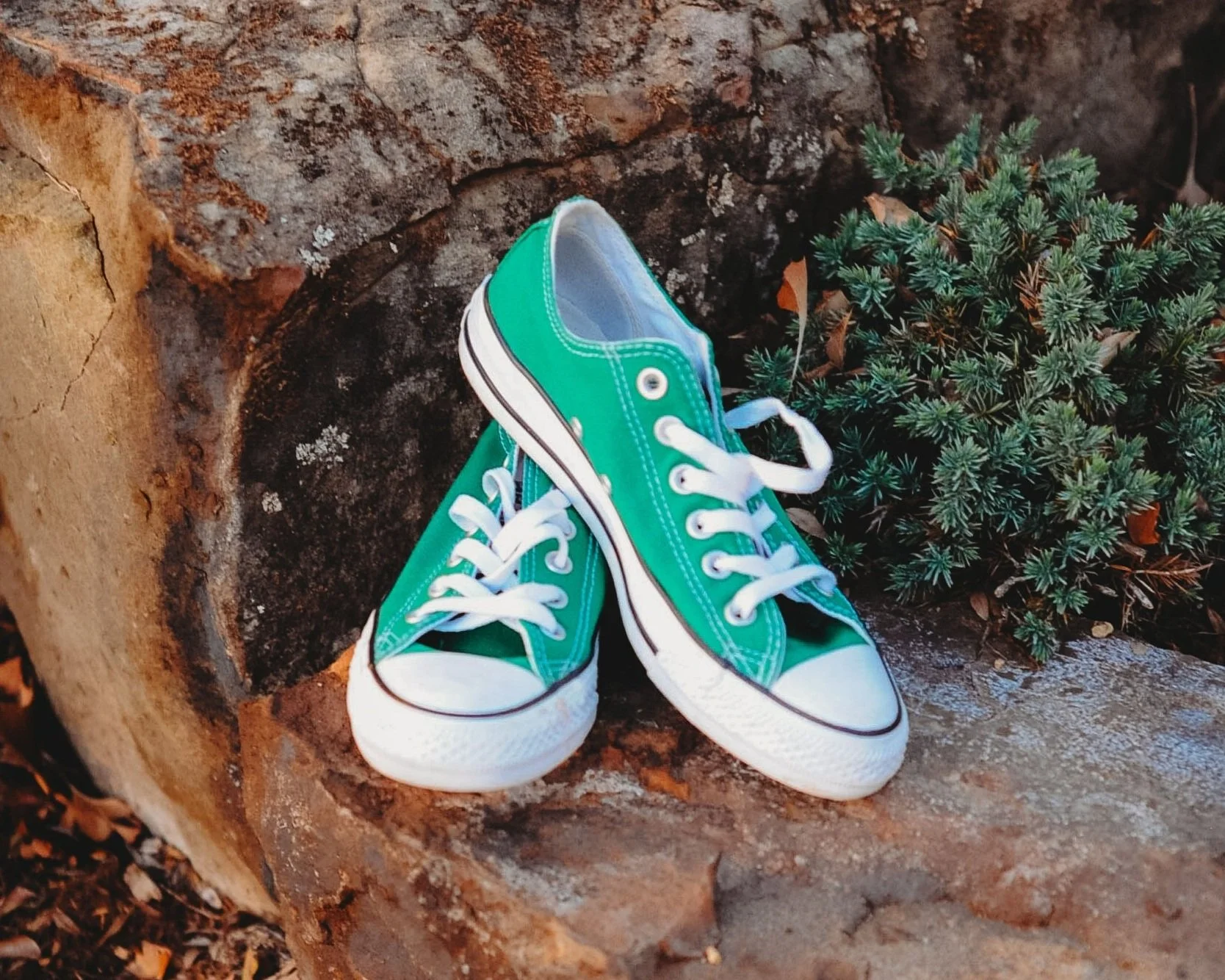 JOIN OUR TEAM — Green Shoe Foundation