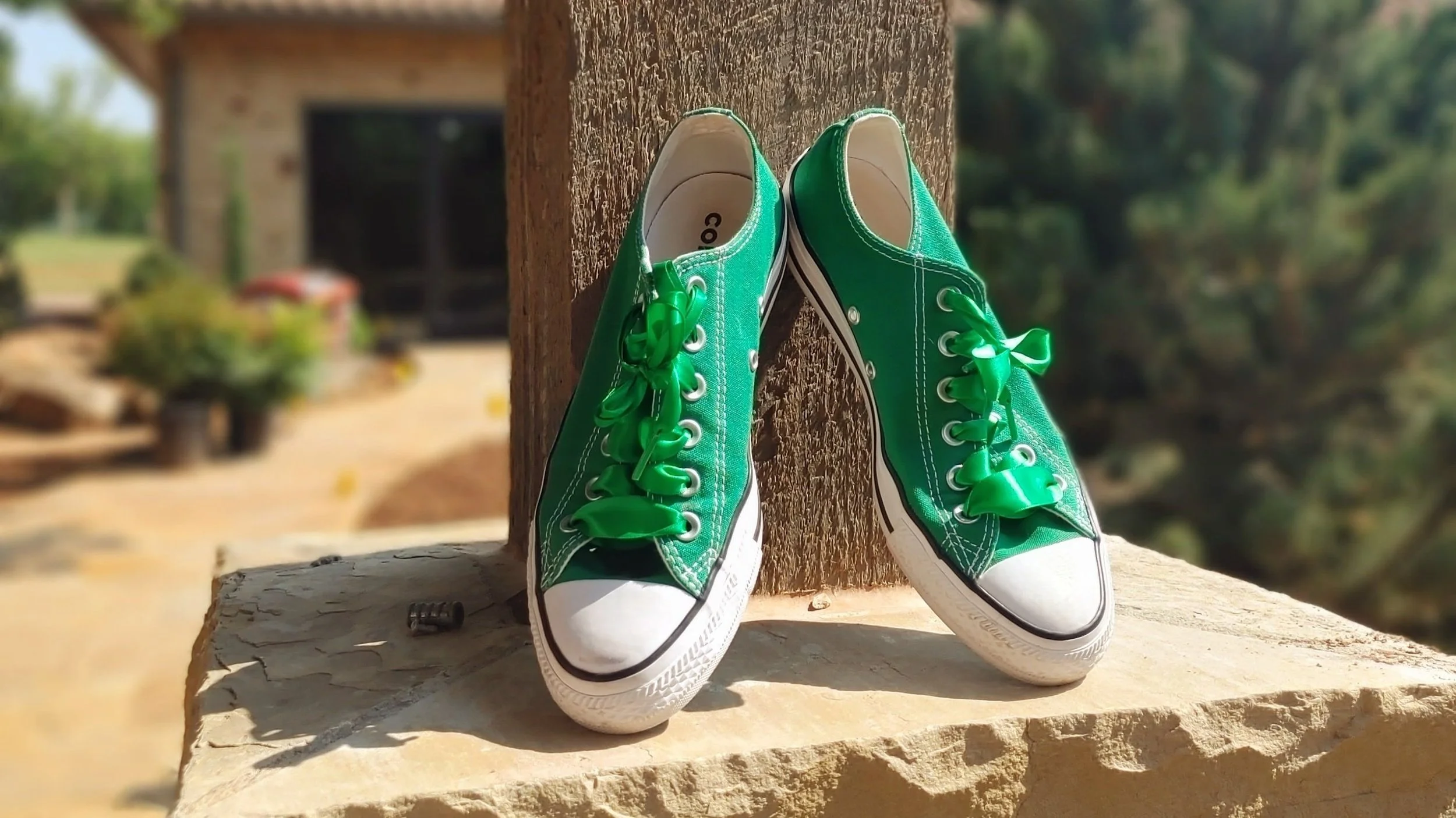 Register — Green Shoe Foundation