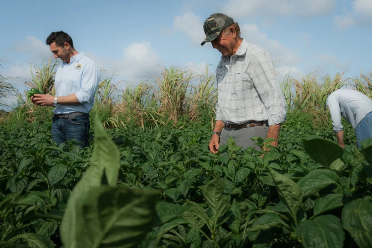 Contact — Harvest Fresh Partners