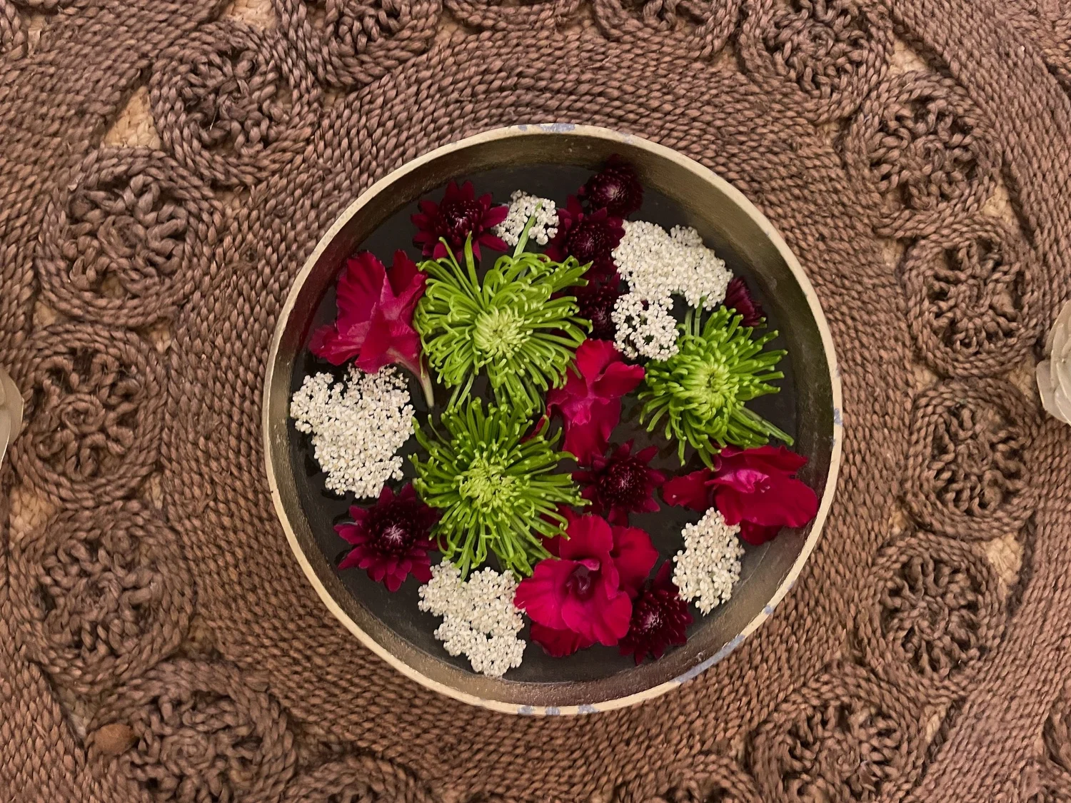 plant spirit initiations — PLANT SPIRIT TALK