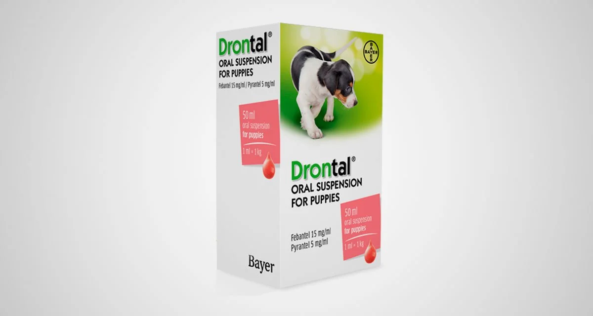 Drontal plus: para que serve, como usar e efeitos colaterais — VetSaúde