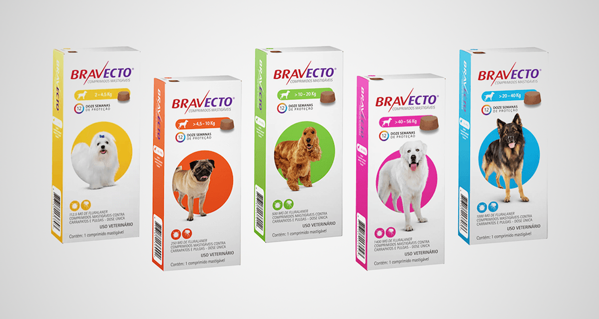 Bravecto: para que serve, dose e quanto tempo dura — VetSaúde