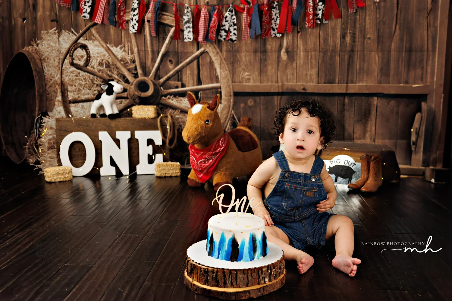 Dallas, TX Newborn Photographer — Rainbow Photography