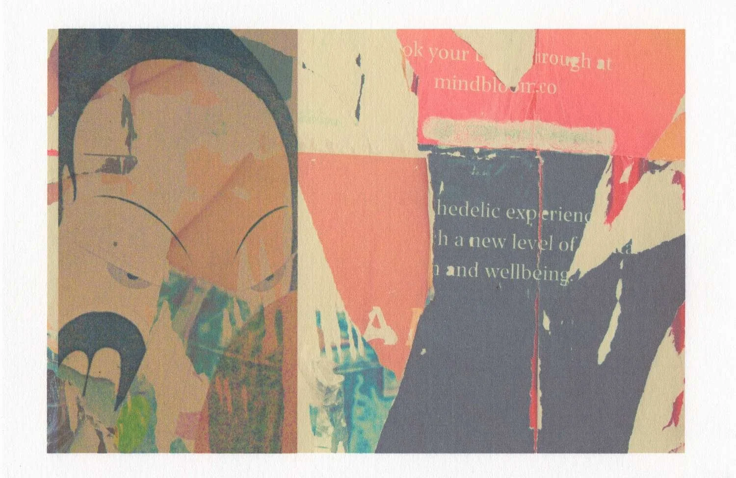 Shop — Leanne Staples