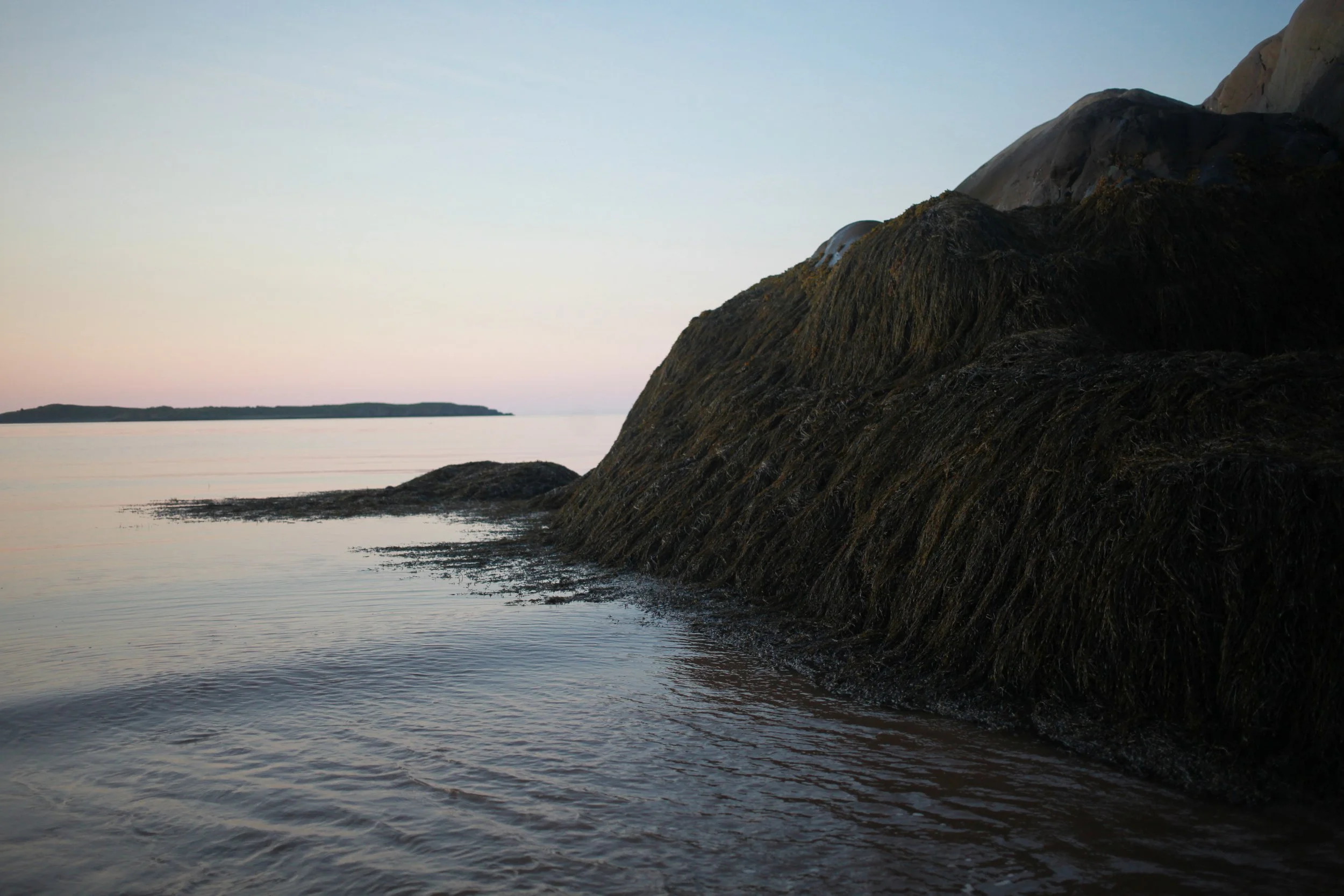 On Fallow Ground — Kristen Roderick