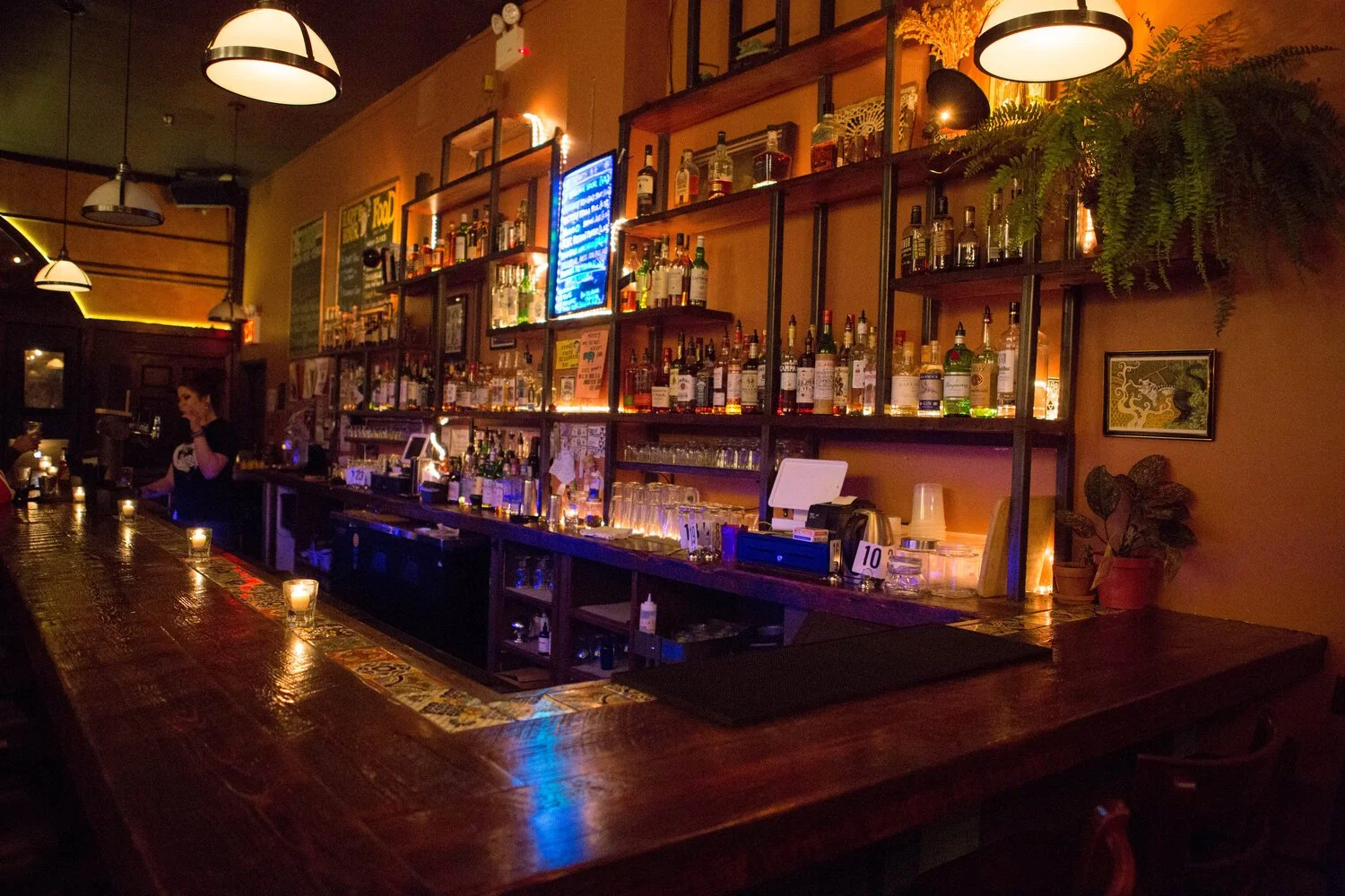 Bookings — Starr Bar