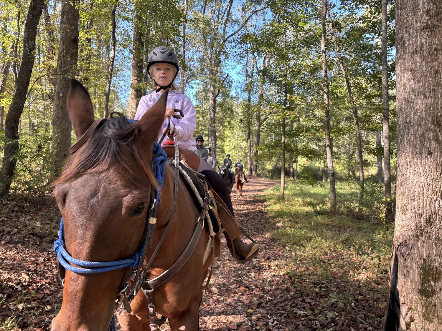 Serenbe Trail Riding