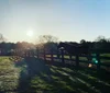 Contact — Serenbe Trail Riding