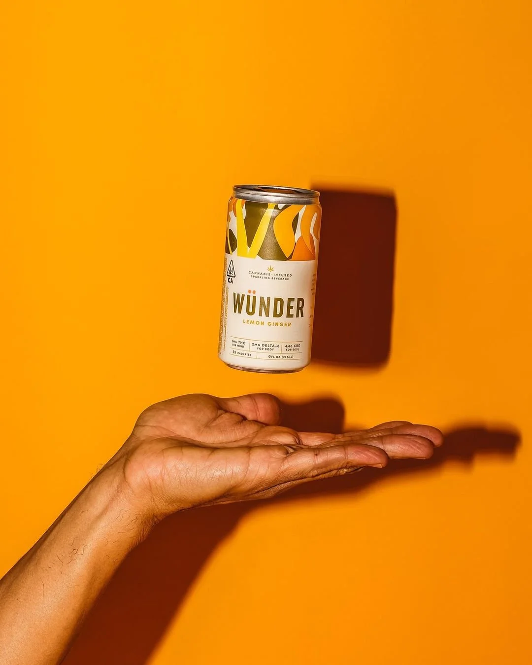 WÜNDER — David Joseph Weissberg — Illustration