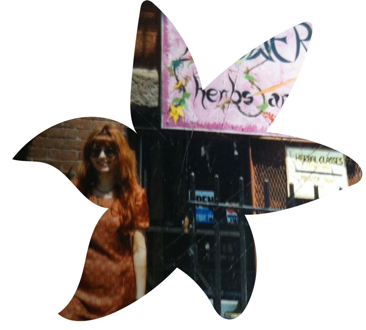 Flower Power Herbs & Roots EAST VILLAGE NYC Open 12 - 7pm Daily