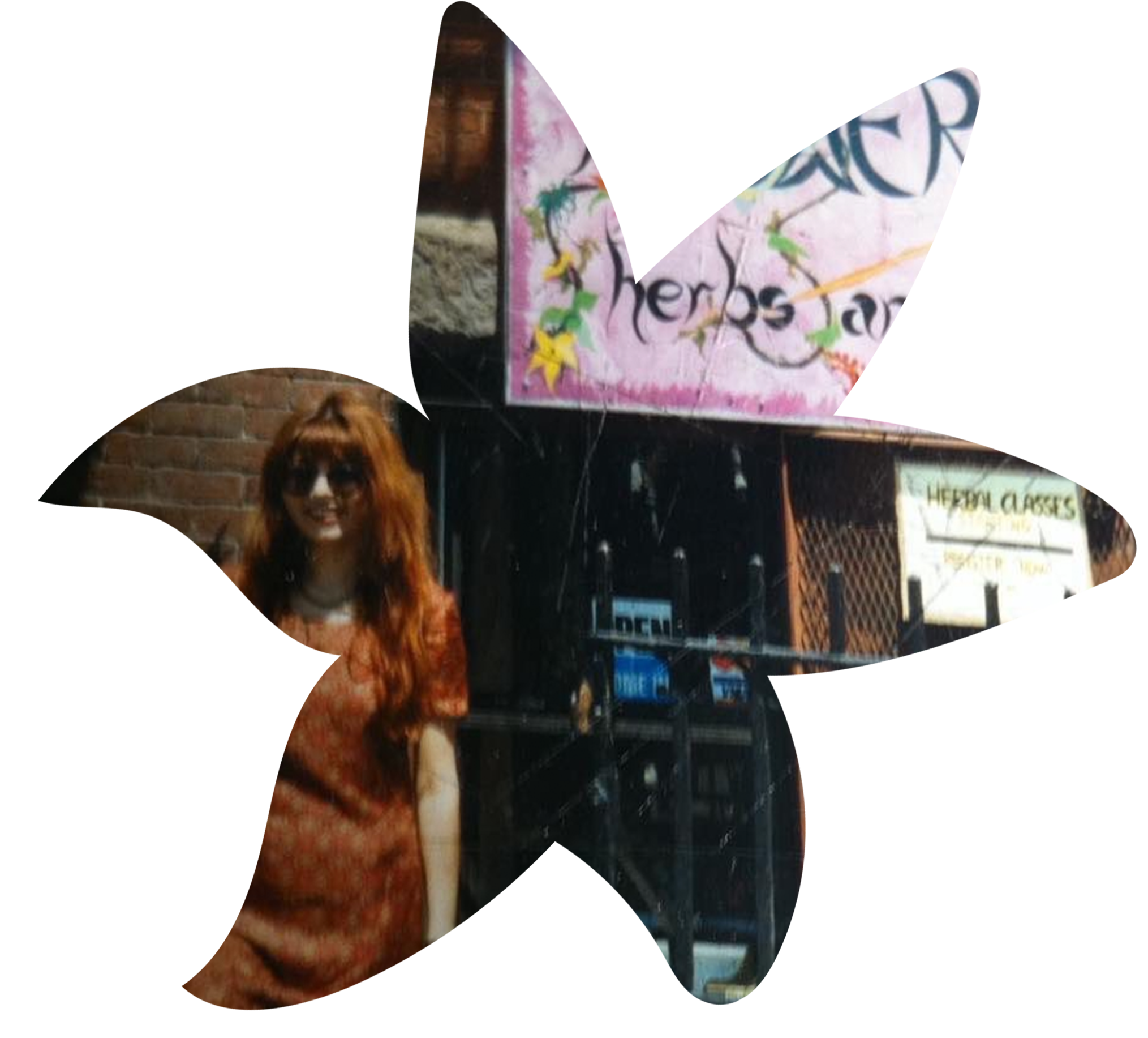 Flower Power Herbs & Roots EAST VILLAGE NYC Open 12 - 7pm Daily