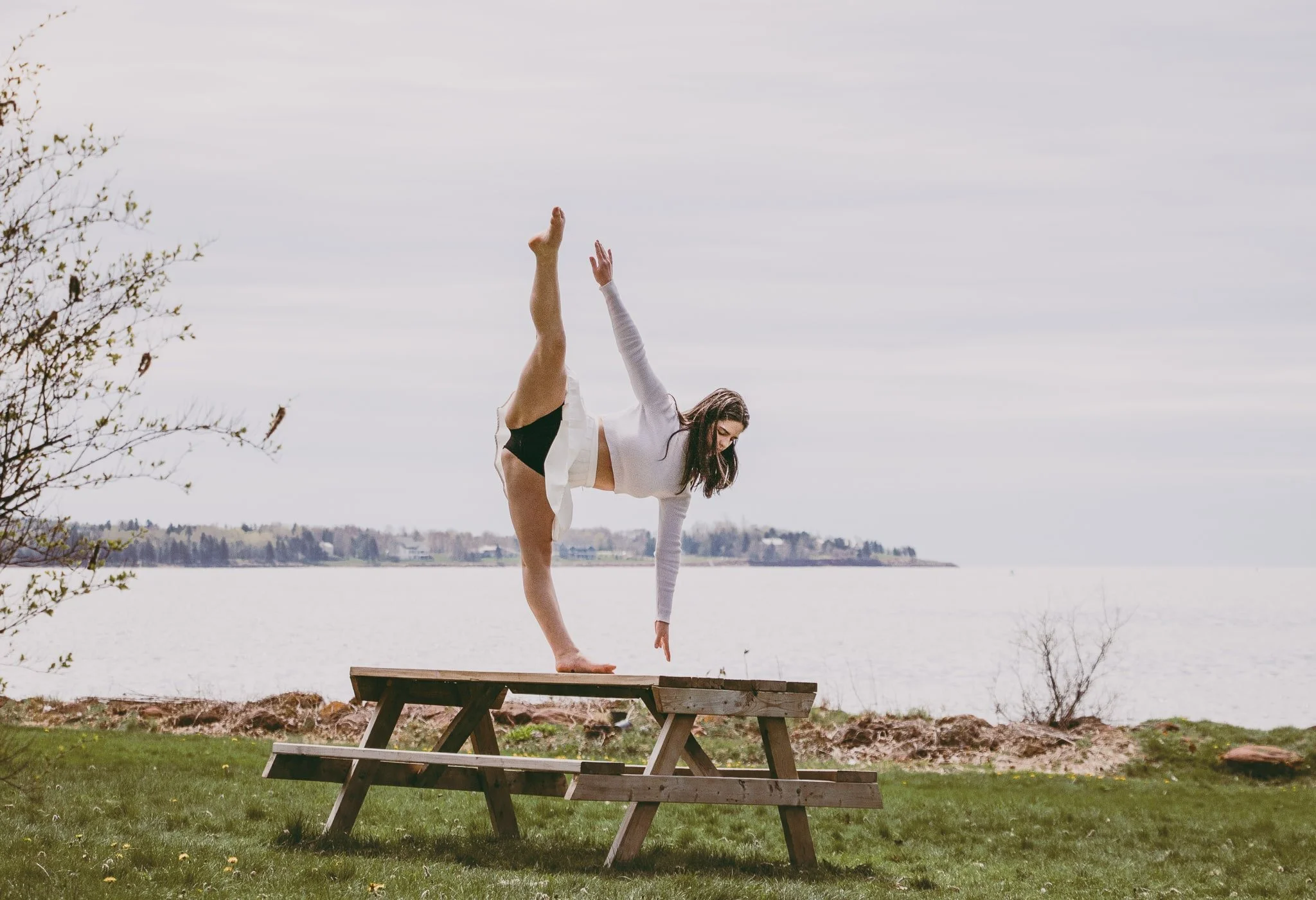 Dance Programs — ALIGNMENT DANCE ARTS INC.