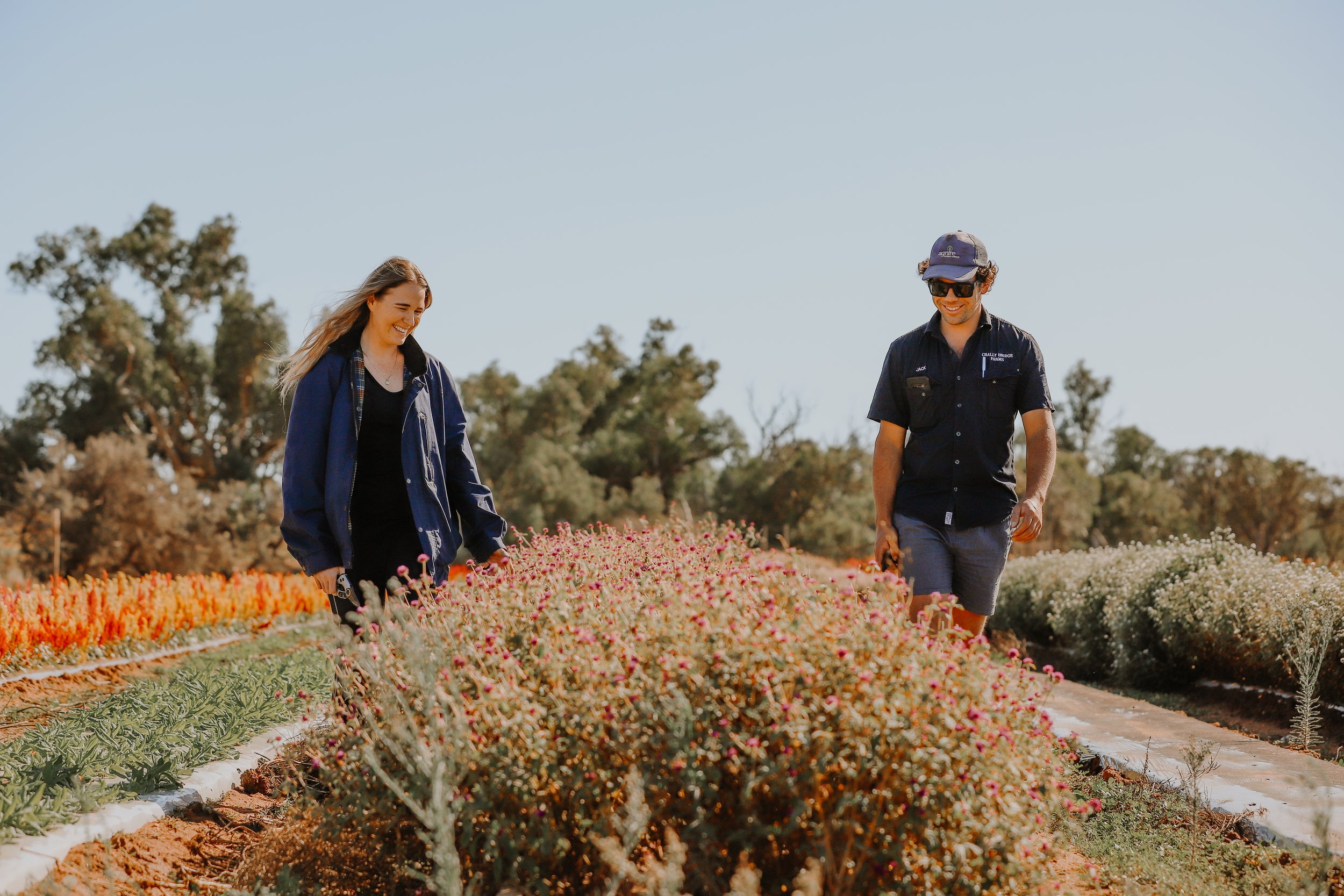 Our Story | Native Flowers, Geraldton, Western Australia — Chally ...