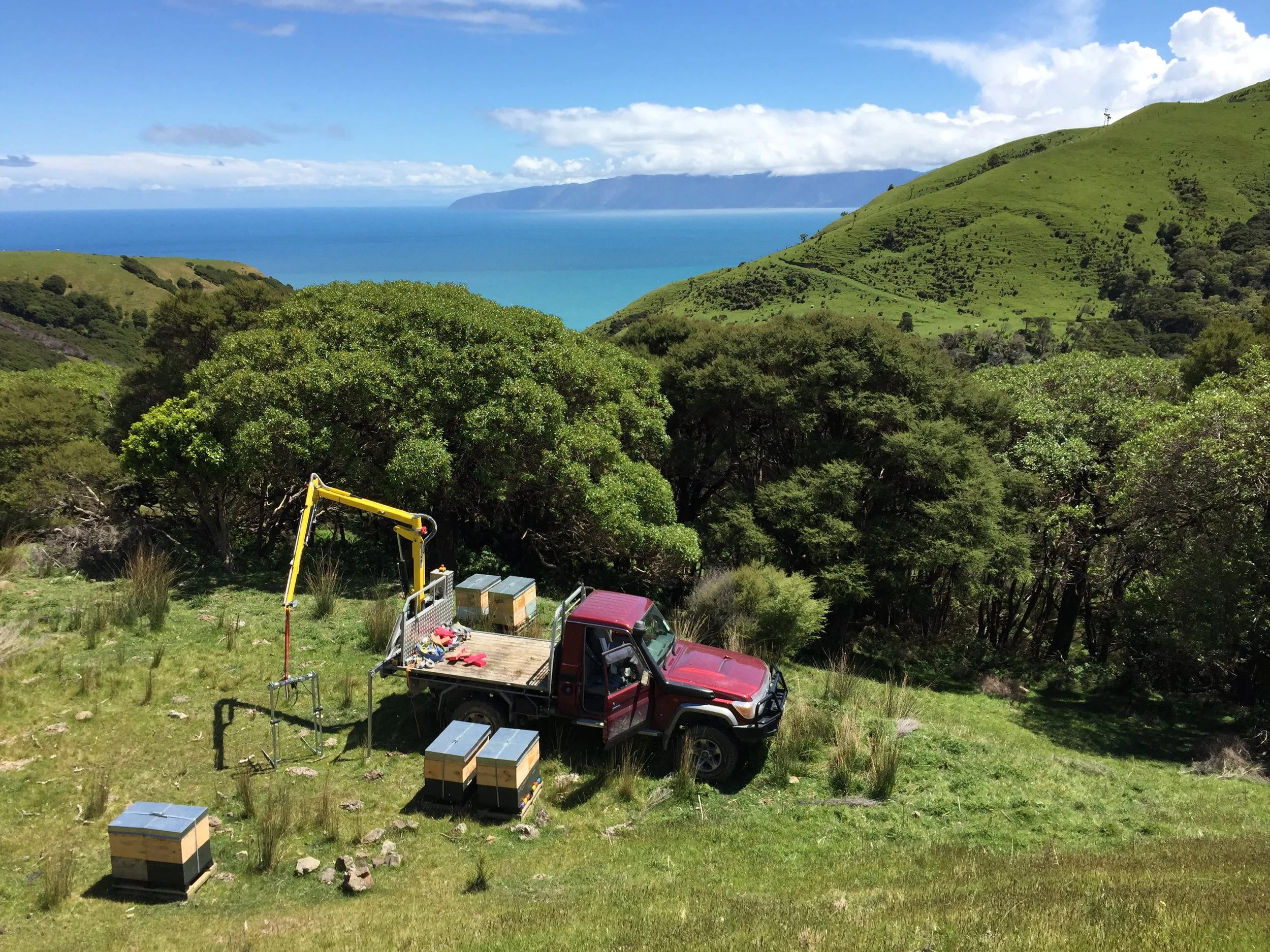 Location — Hunter Reilly Honey