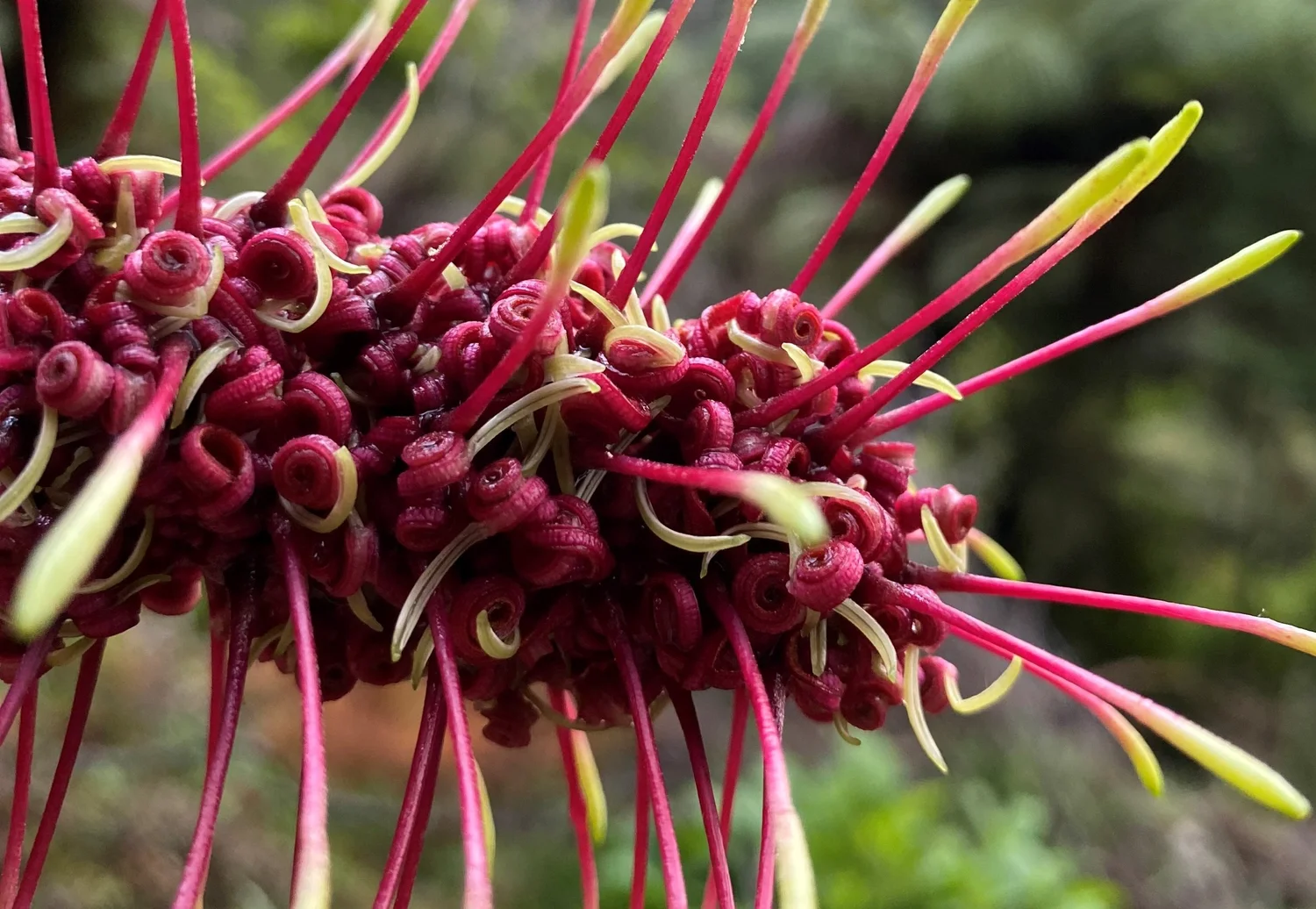 Honey — Hunter Reilly Honey