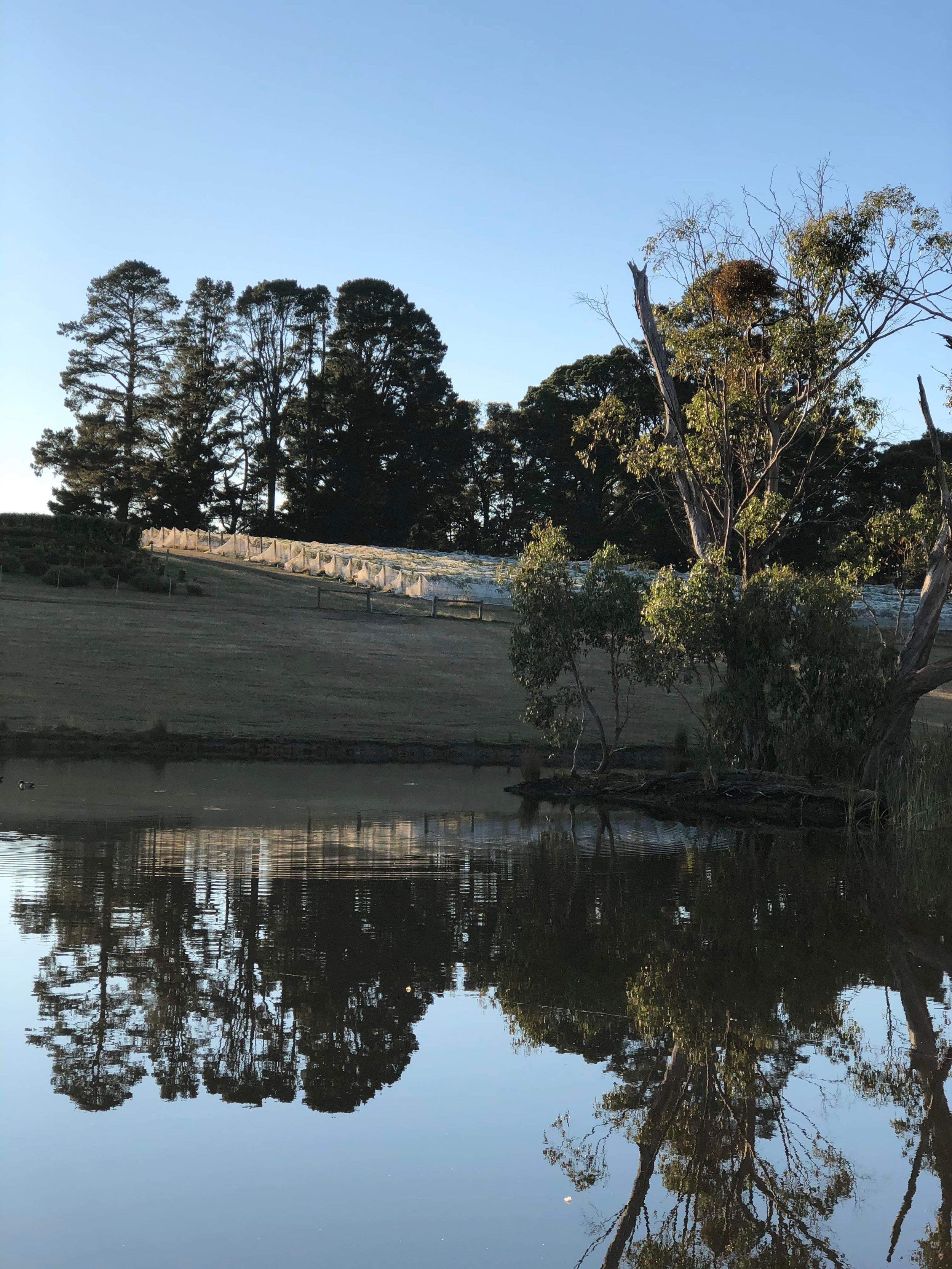 Contact 3 — LAURISTON HILLS ESTATE