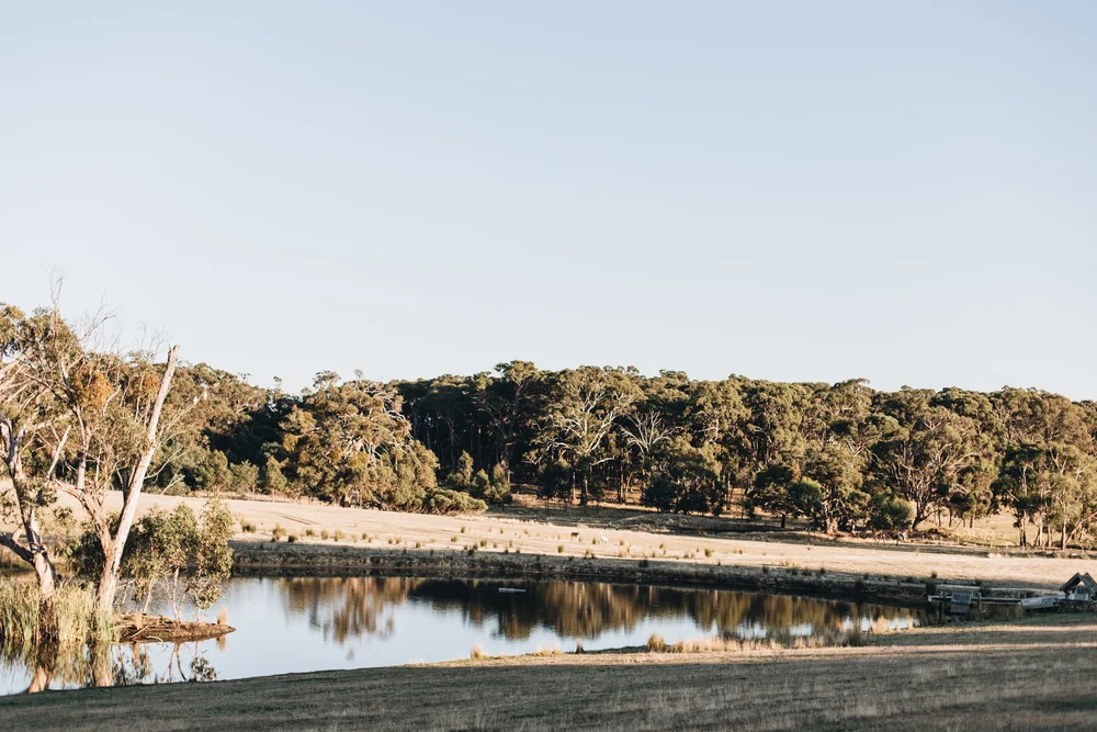 Lauriston Hills Estate