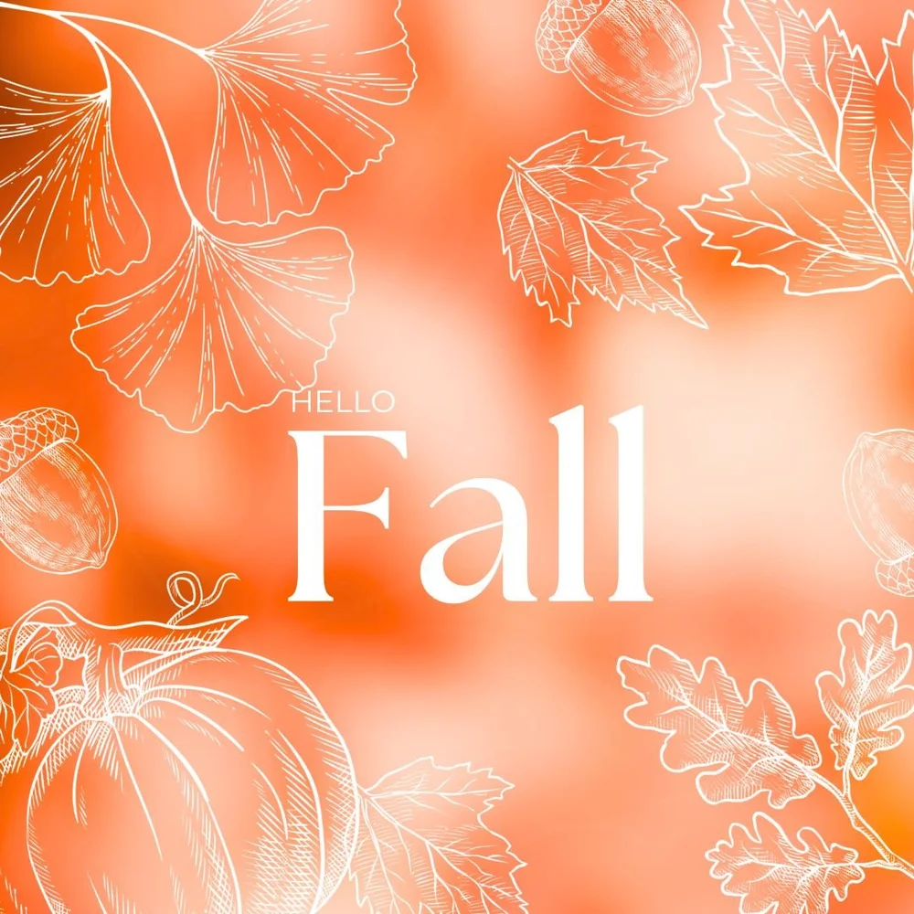Concord & 9th—Fall/Thanksgiving Cards Using their Fall Release ...