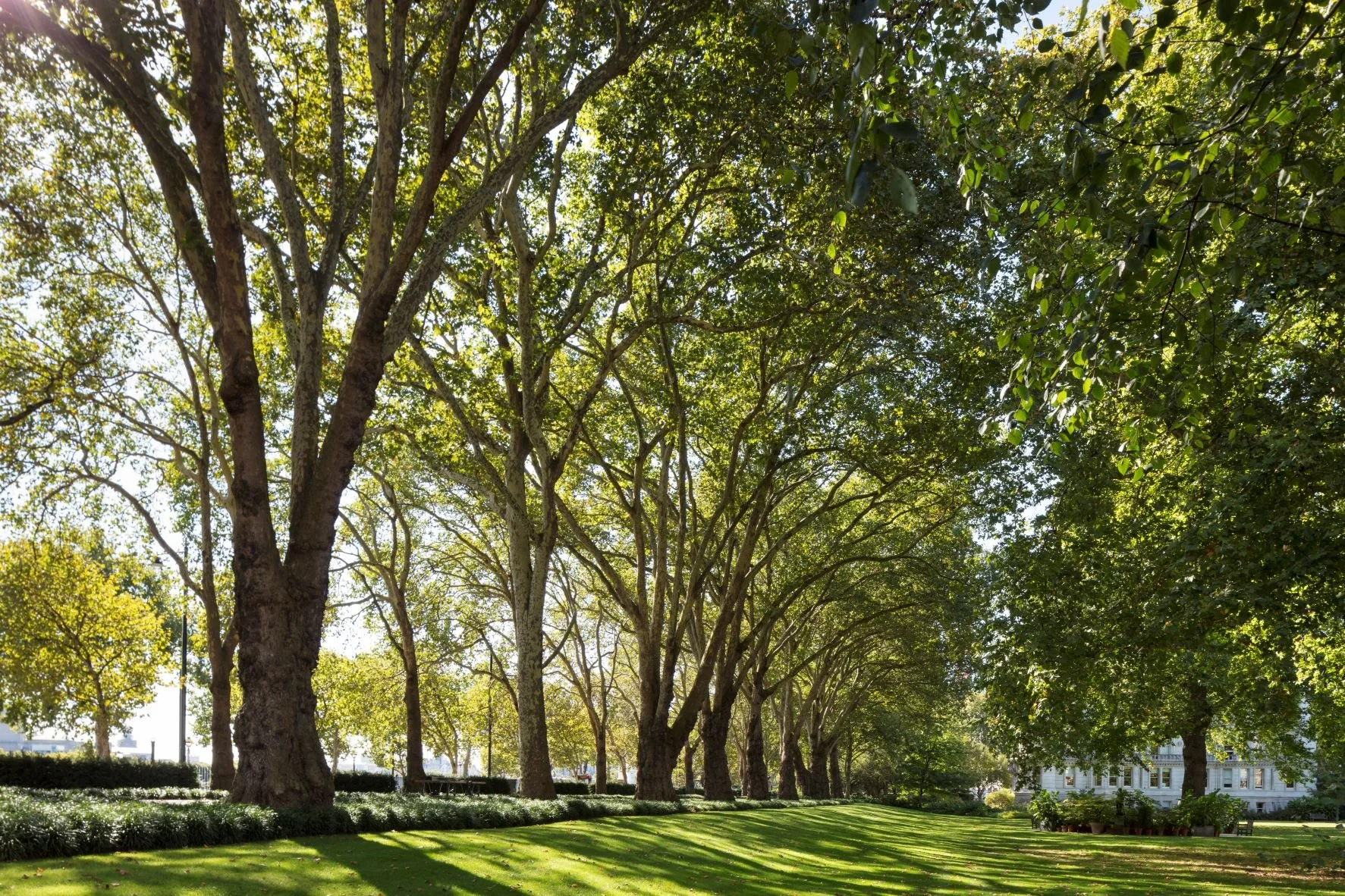 Mini-Pupillage — Cloisters
