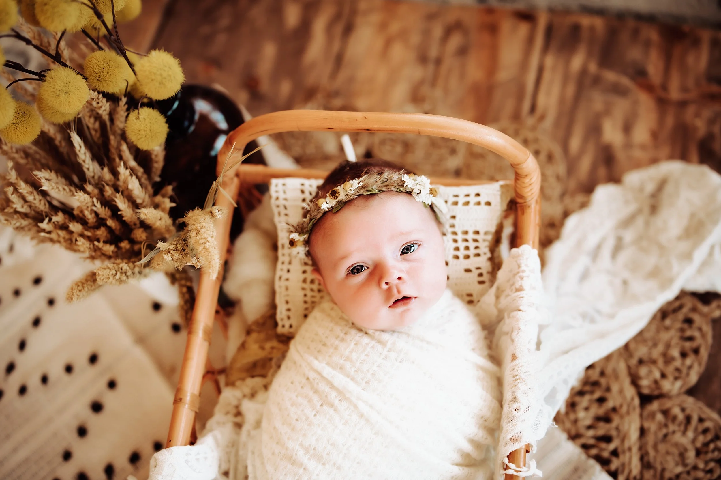 INVEST — Stephanie Reinhardt Photography| Family Photographer in ...