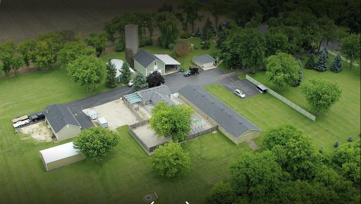 Dog Training Phoenix — Always Faithful Dog Training