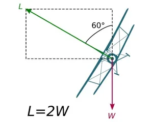 The Physiology of G-Forces in Aerobatic Flight — NZAviator