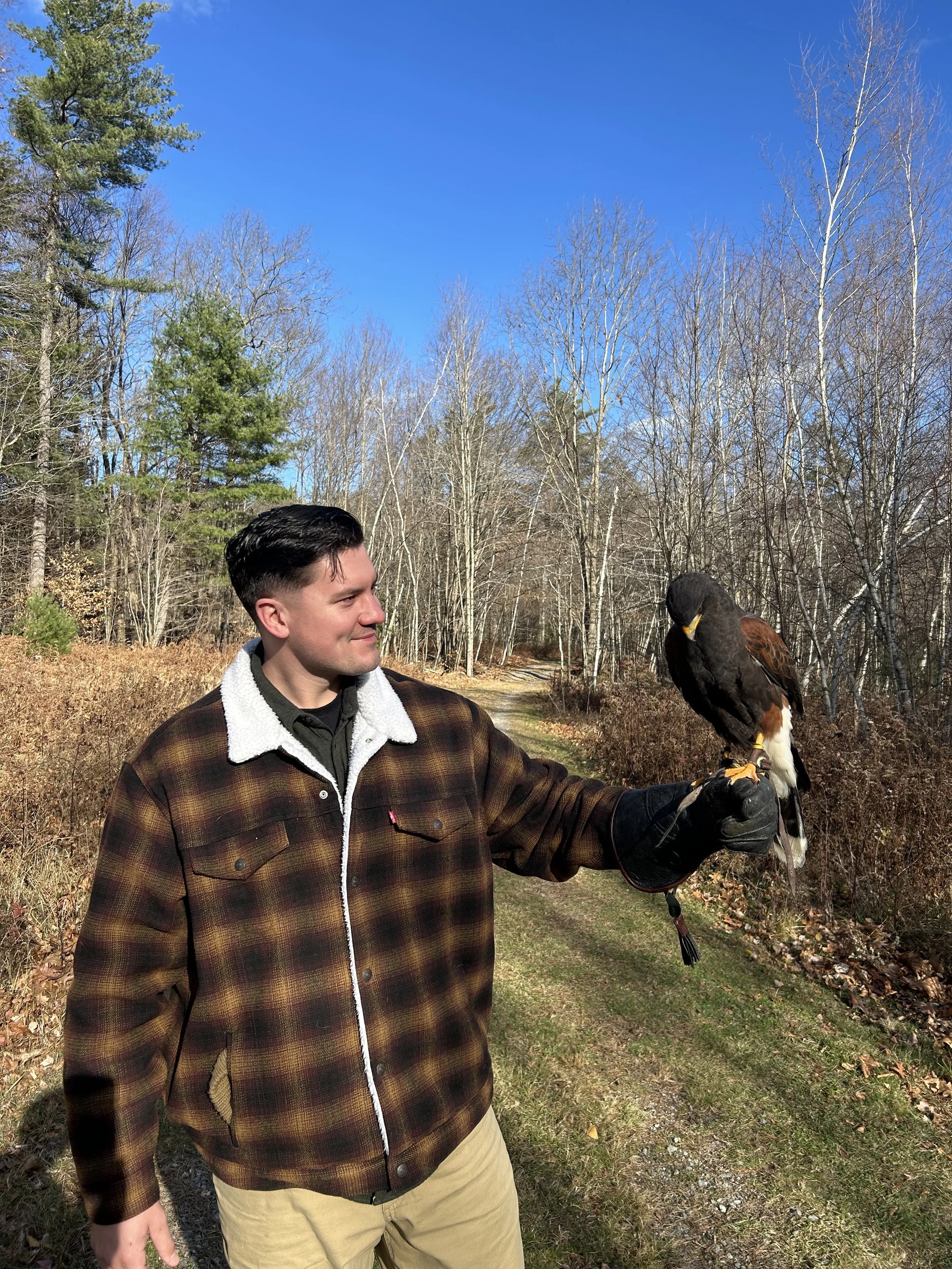 Monadnock Falconry
