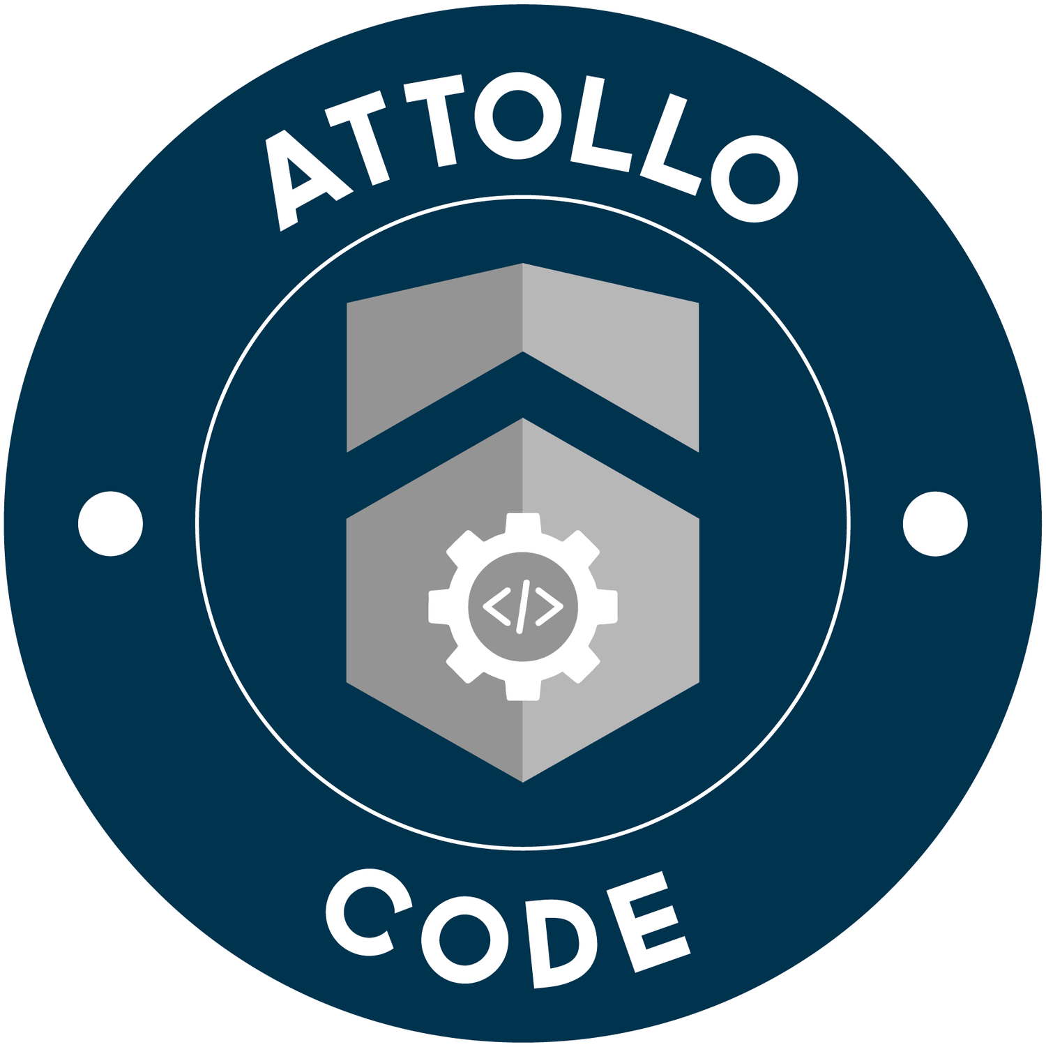 11th Grade Spring Programs — Attollo Prep