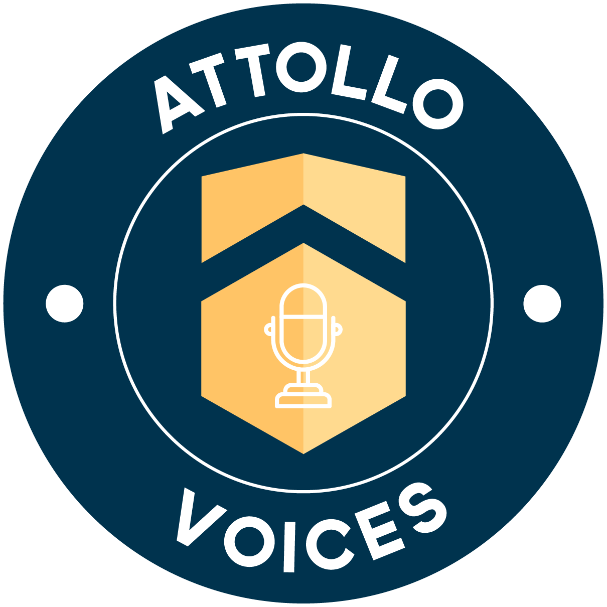 11th Grade Spring Programs — Attollo Prep