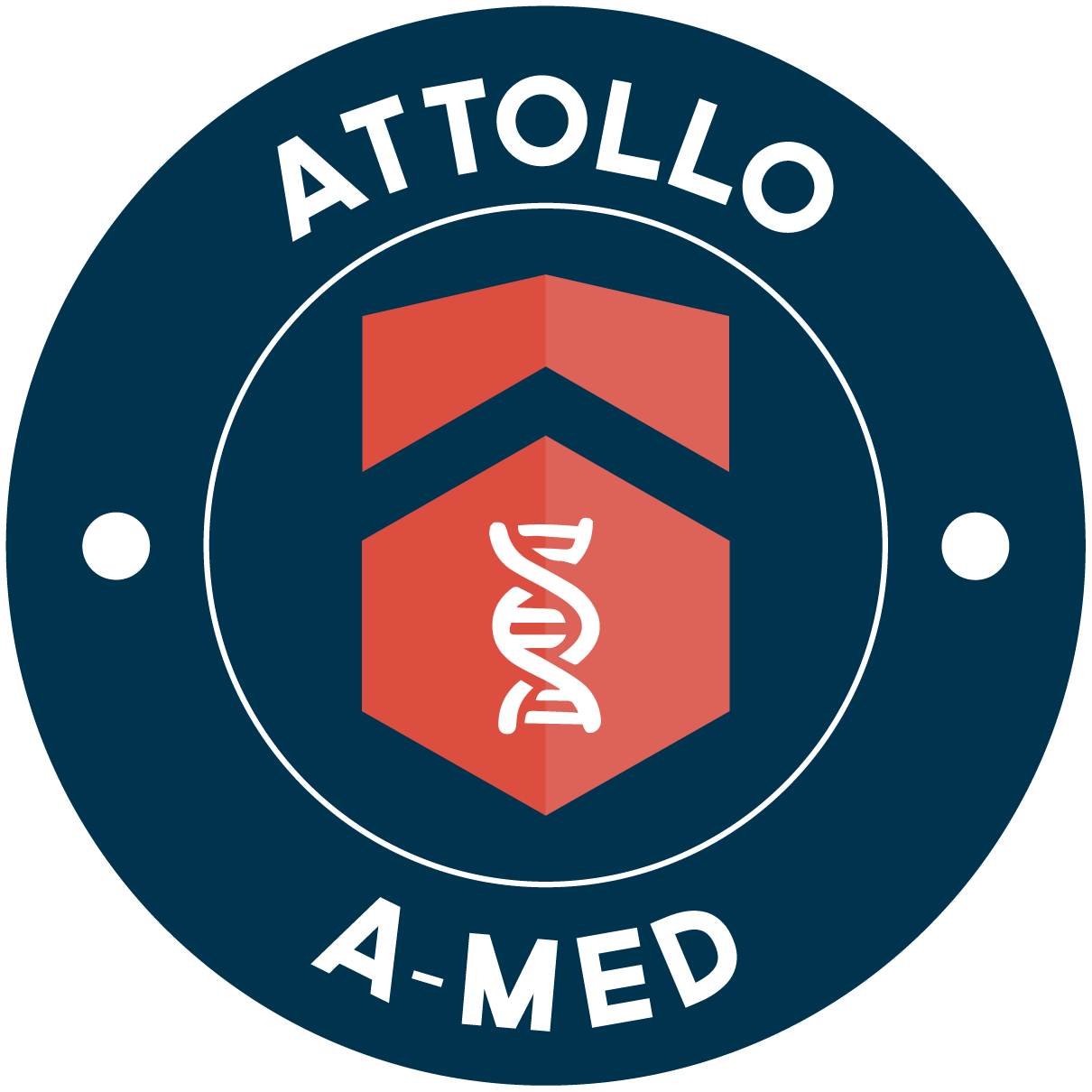 11th Grade Spring Programs — Attollo Prep