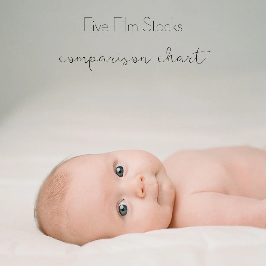 Five Film Stocks Comparison | Film Photography Education — Sandra Coan ...