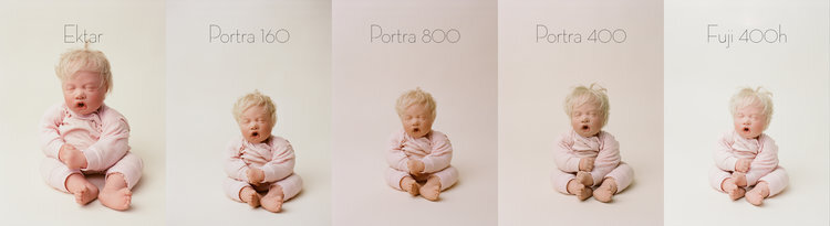 Five Film Stocks Comparison | Film Photography Education — Sandra Coan ...