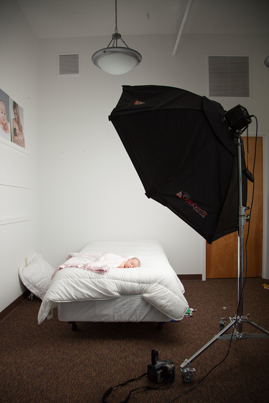 Easy One Light Studio Lighting Set Up — Sandra Coan Education