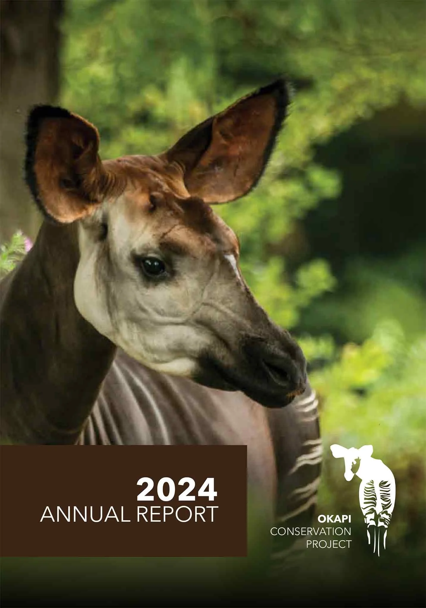 Annual Reports Okapi Conservation Project