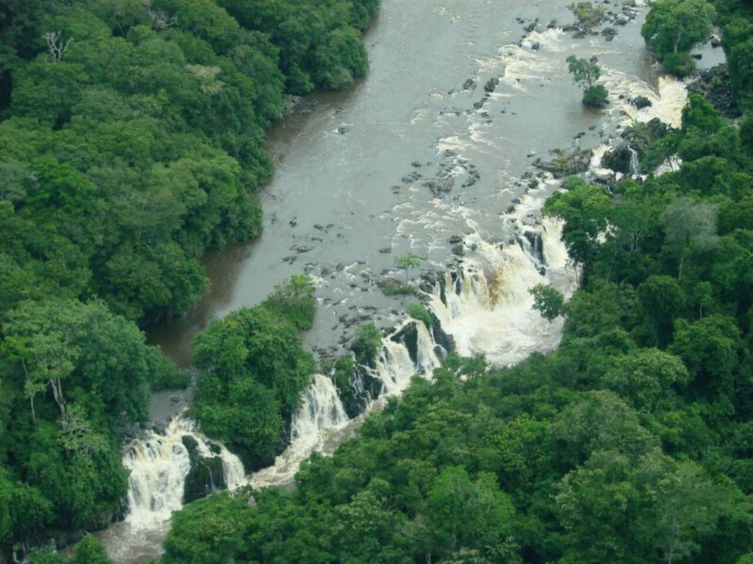 The Reserve — Okapi Conservation Project
