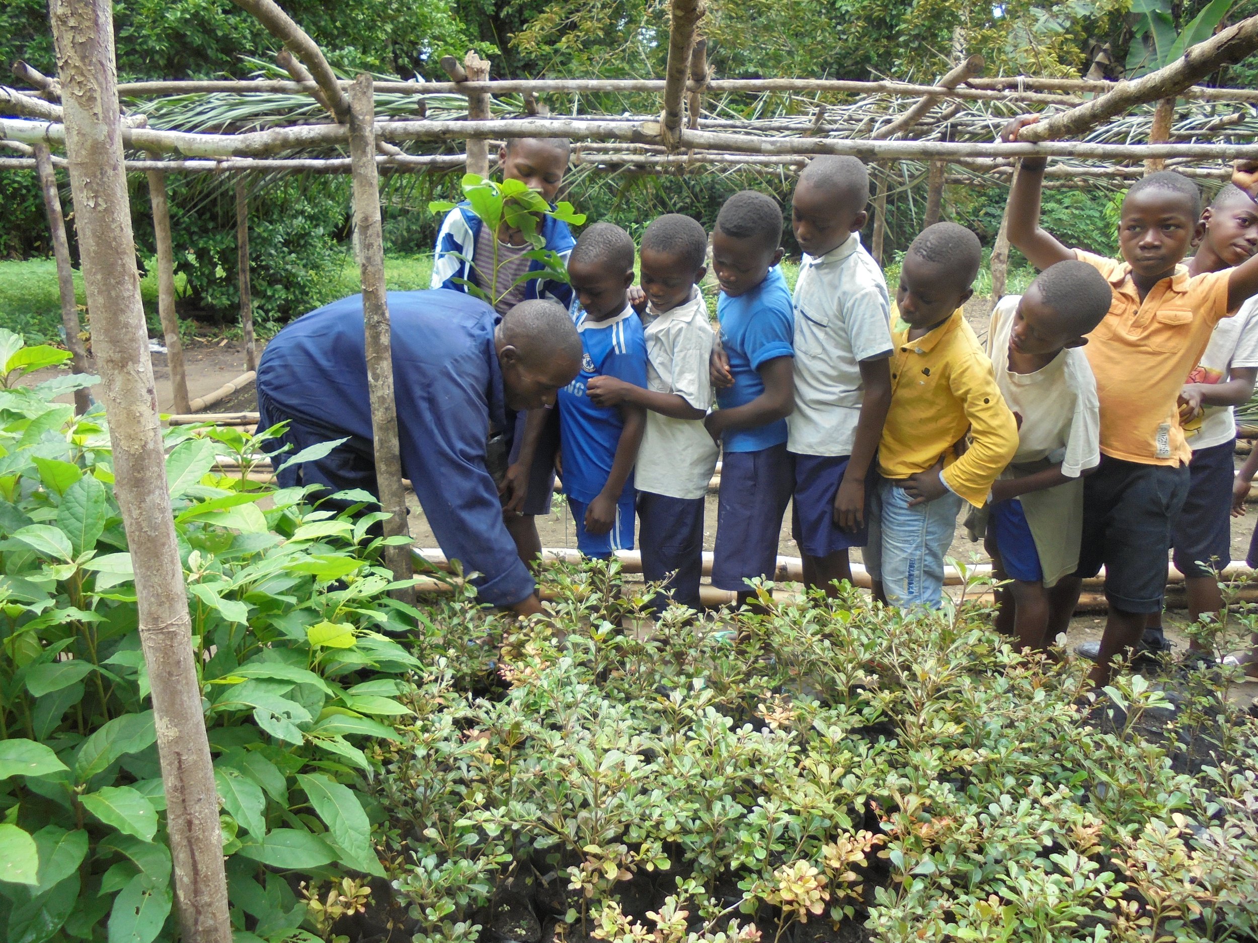 Community Assistance — Okapi Conservation Project