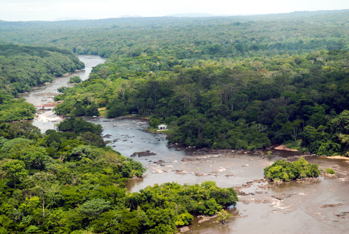 Okapi Conservation Project