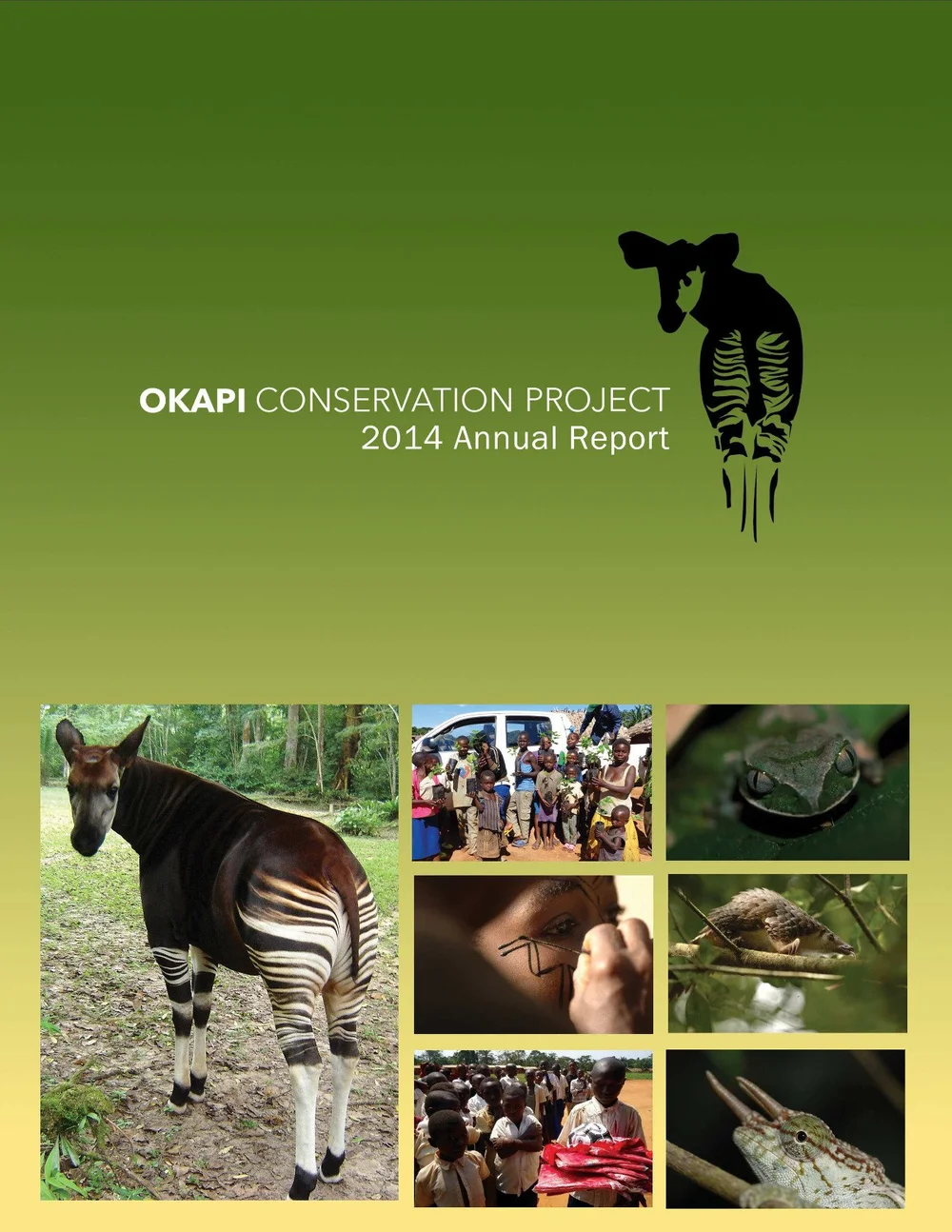 Annual Reports — Okapi Conservation Project