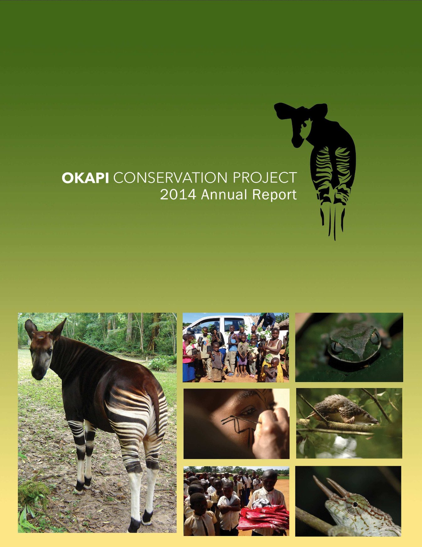 Annual Reports — Okapi Conservation Project