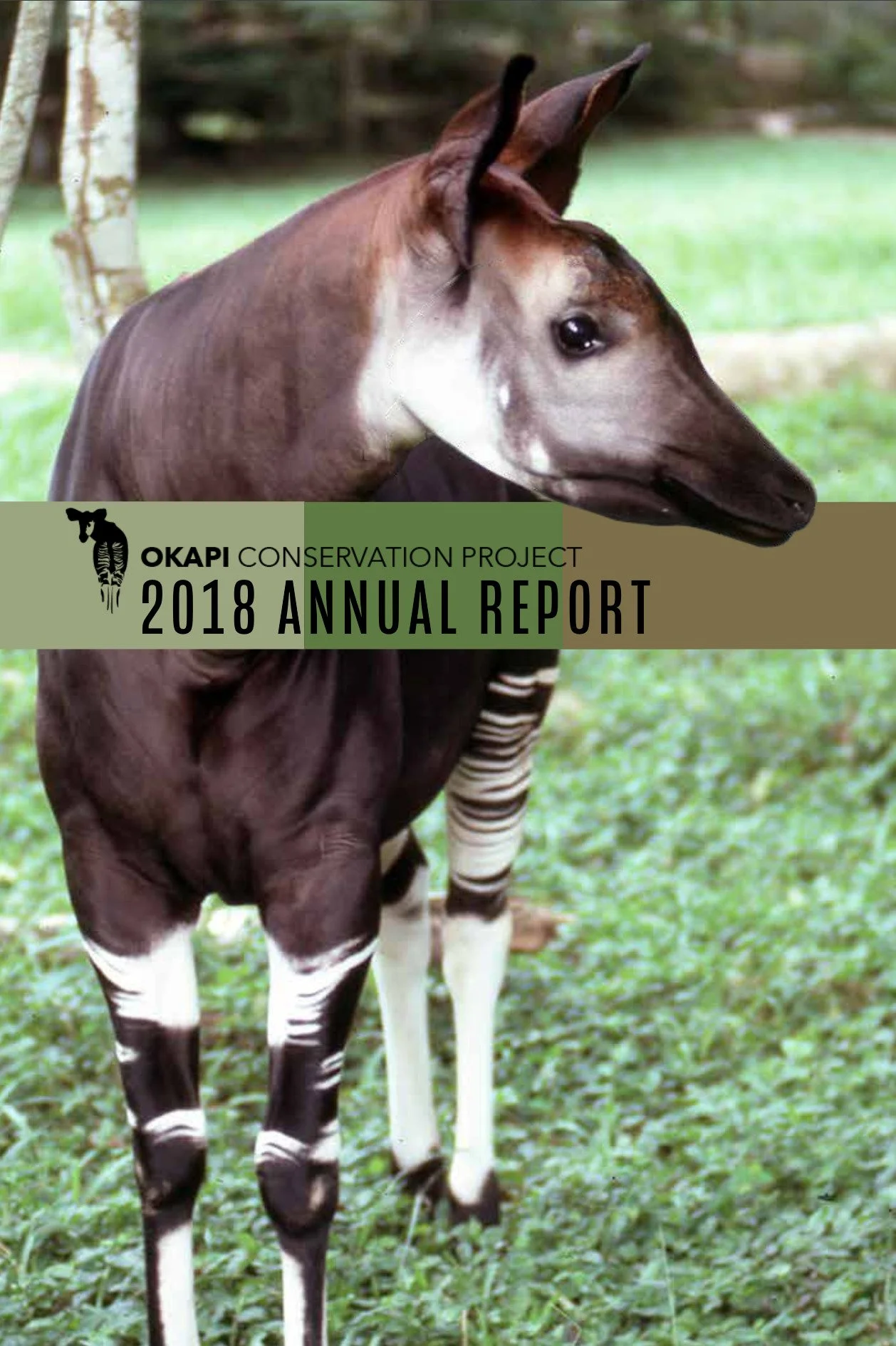 Annual Reports — Okapi Conservation Project