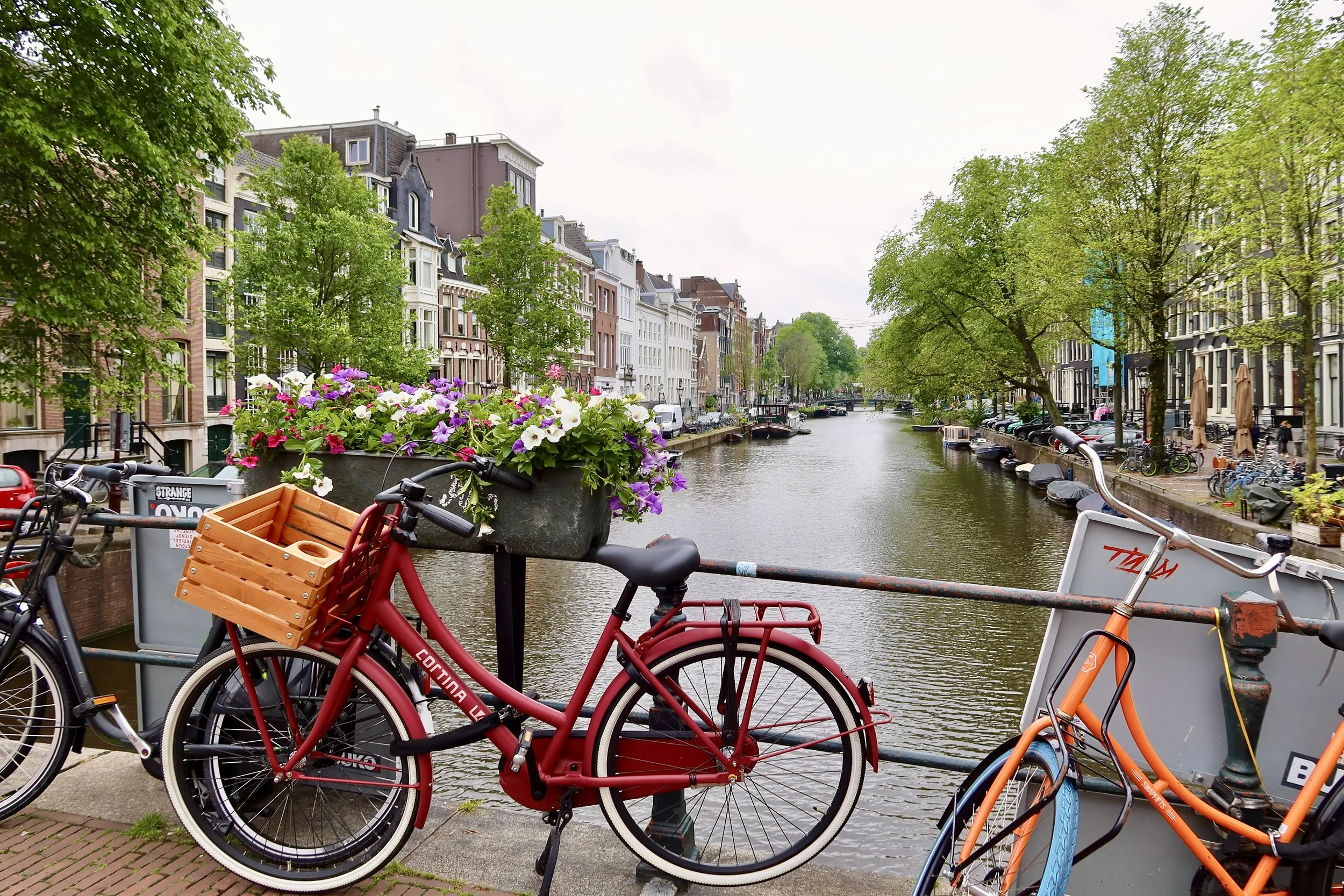 Amsterdam Travel Guide — Wanderlust Journey