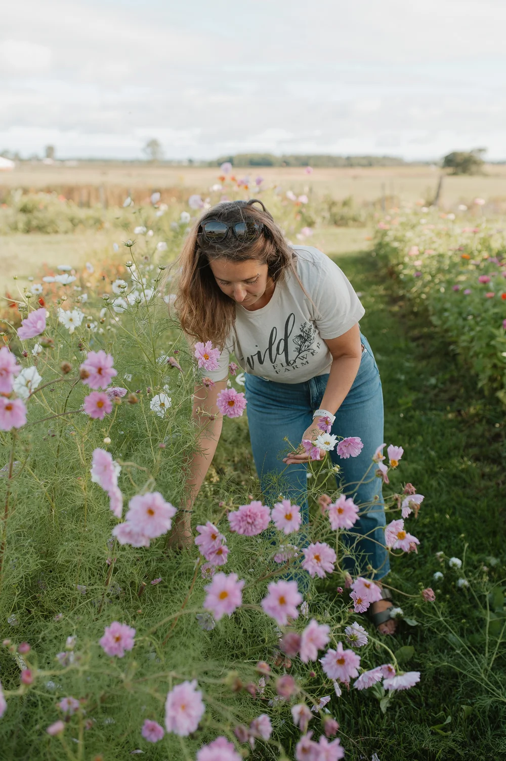 Wild Flower Farm | Explore & Enjoy Fresh Flowers