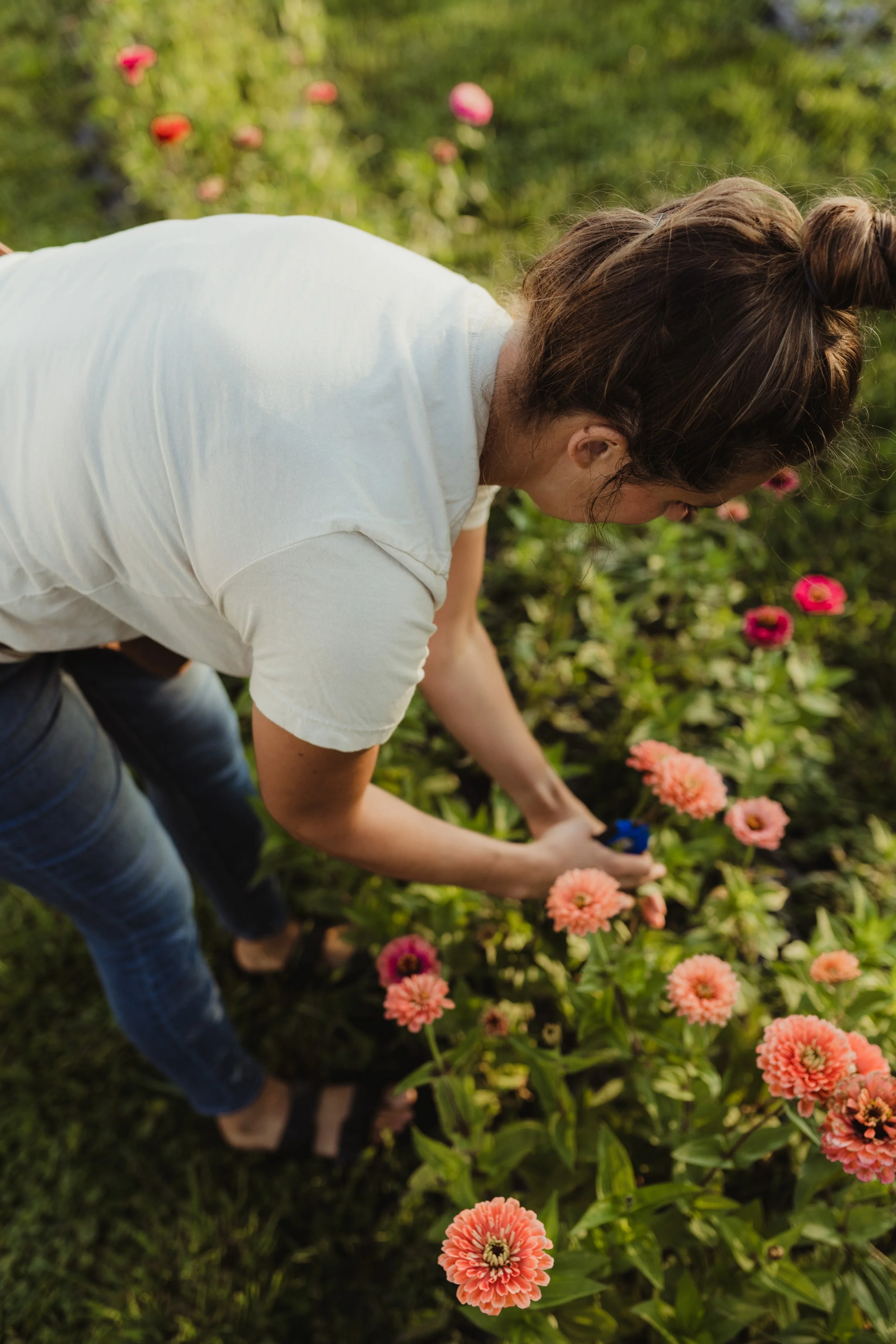 Wild Flower Farm