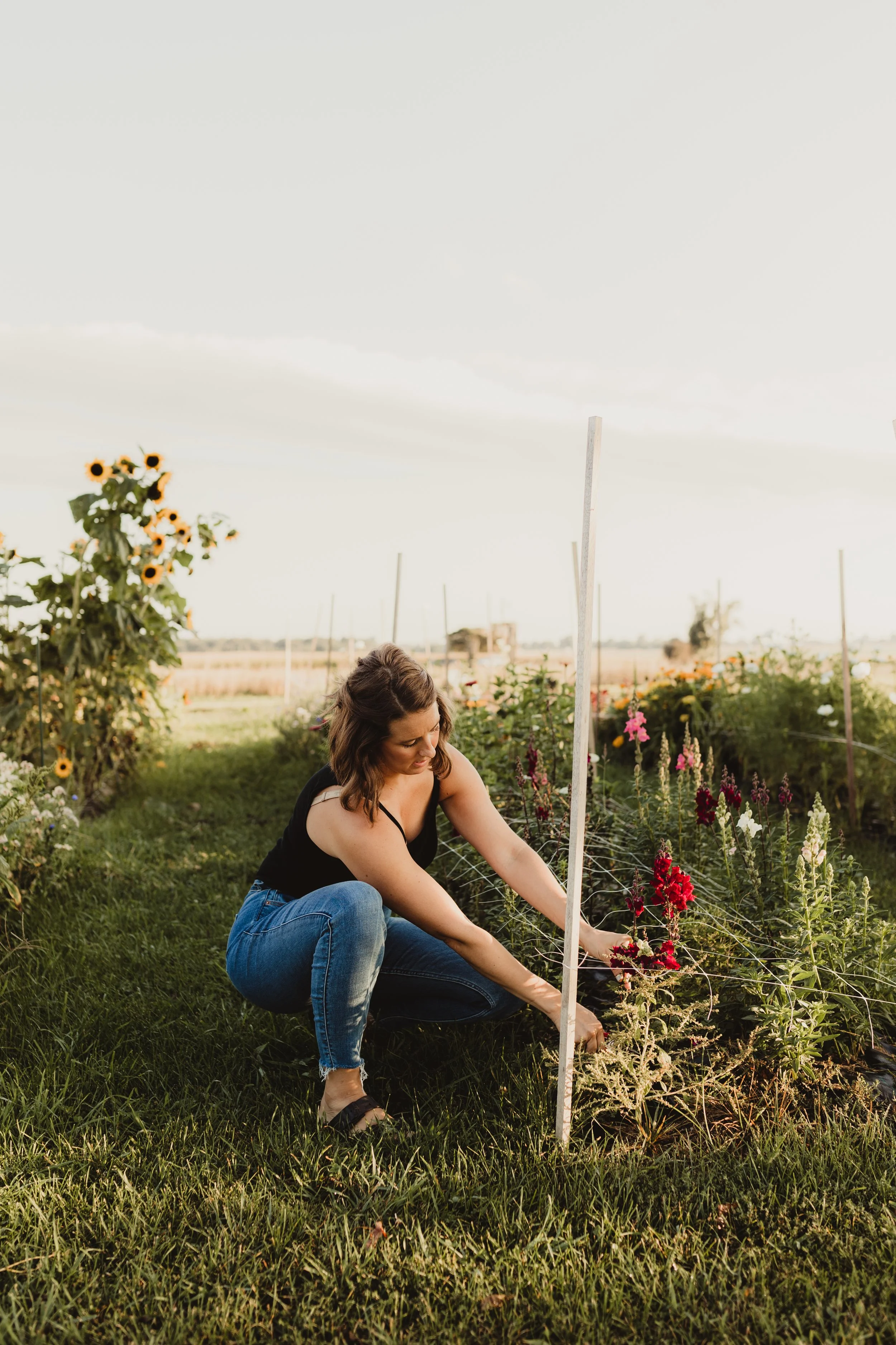 Wild Flower Farm